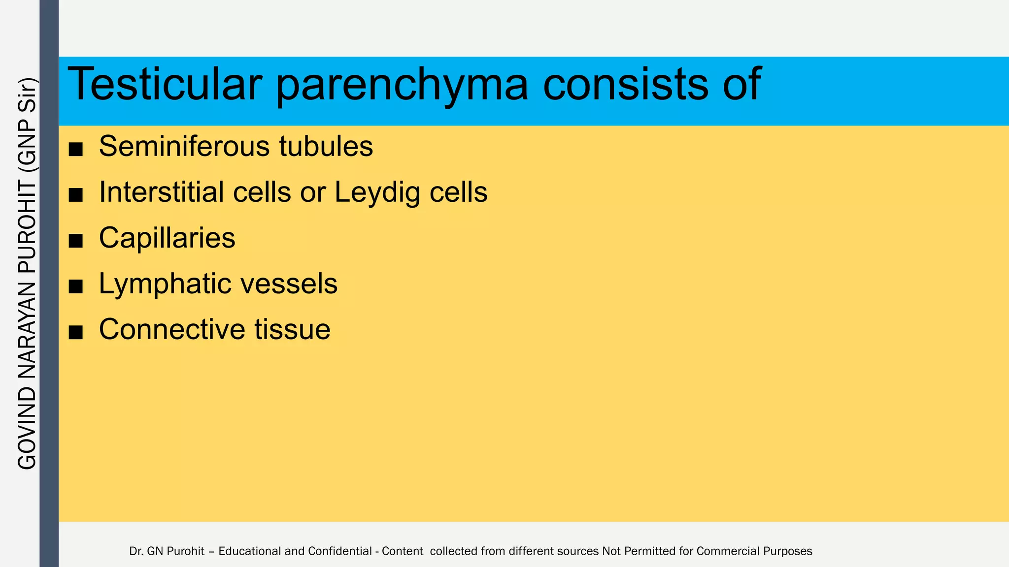 Male reproductive organs anatomy and physiology | PDF