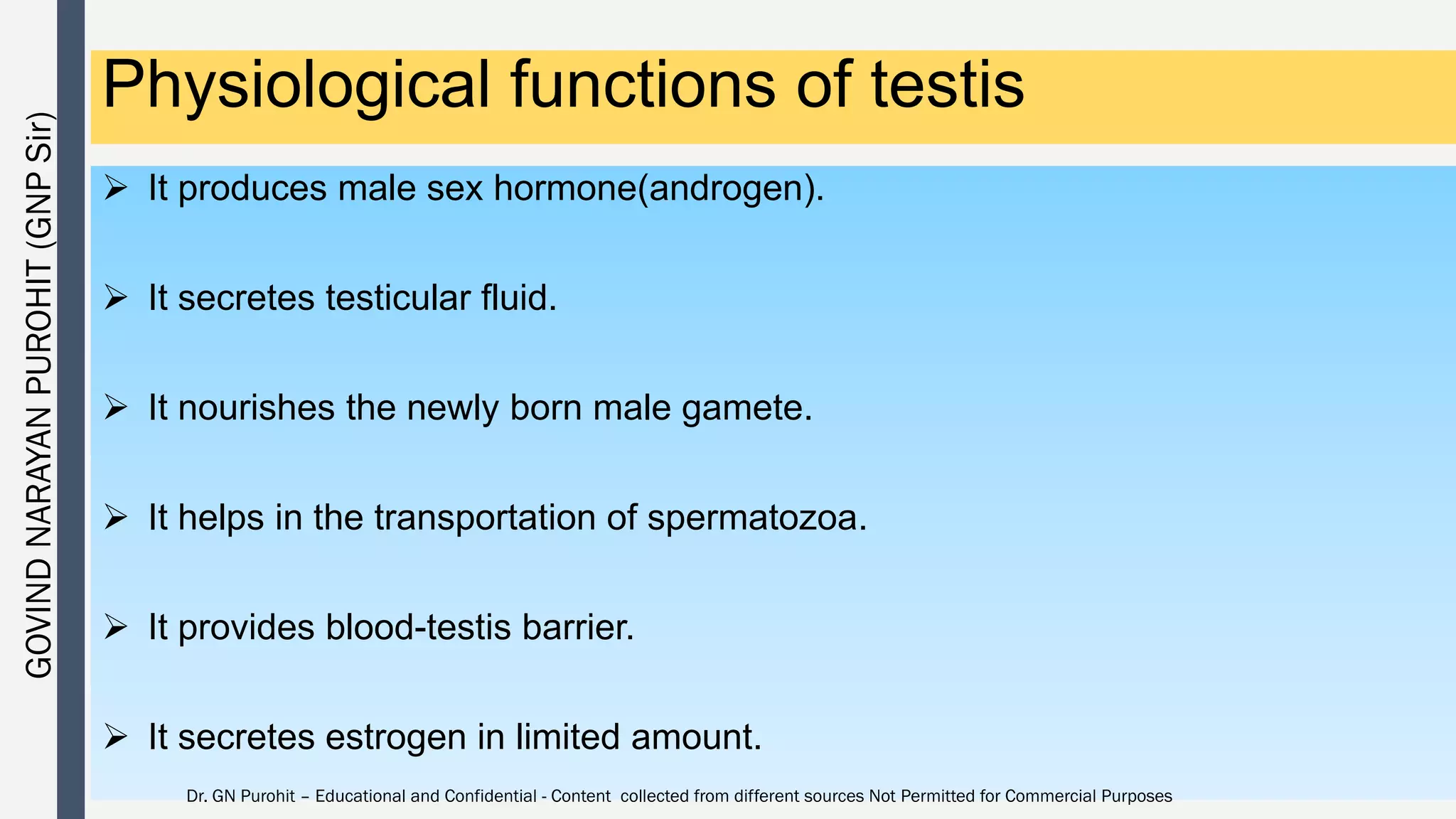 Male reproductive organs anatomy and physiology | PDF