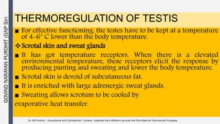 Male reproductive organs anatomy and physiology | PDF
