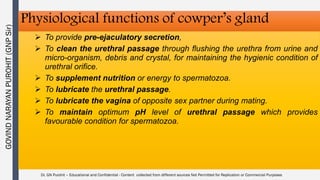 Male reproductive organs anatomy and physiology | PDF