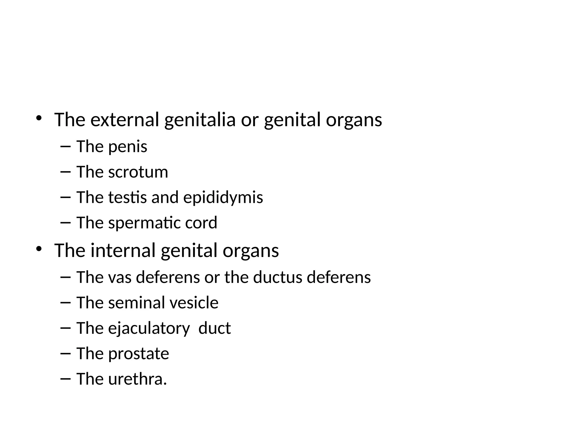 male reproductive organs bsc n.pptx.study | PPTX