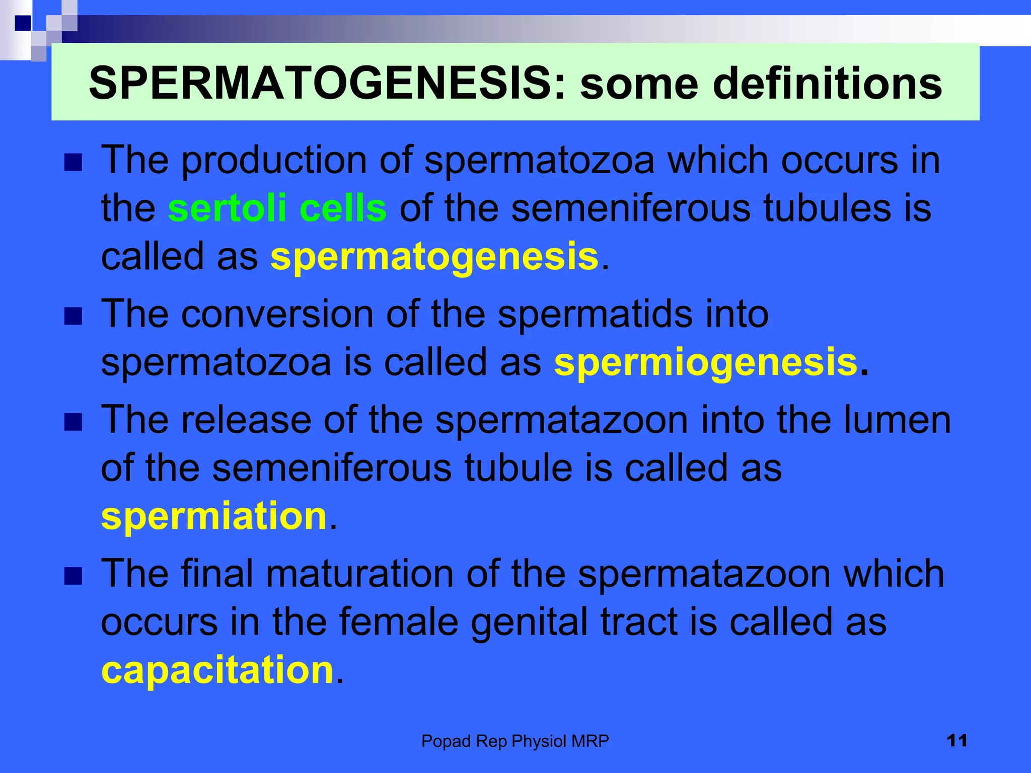 Male reproductive physiology | PPTX
