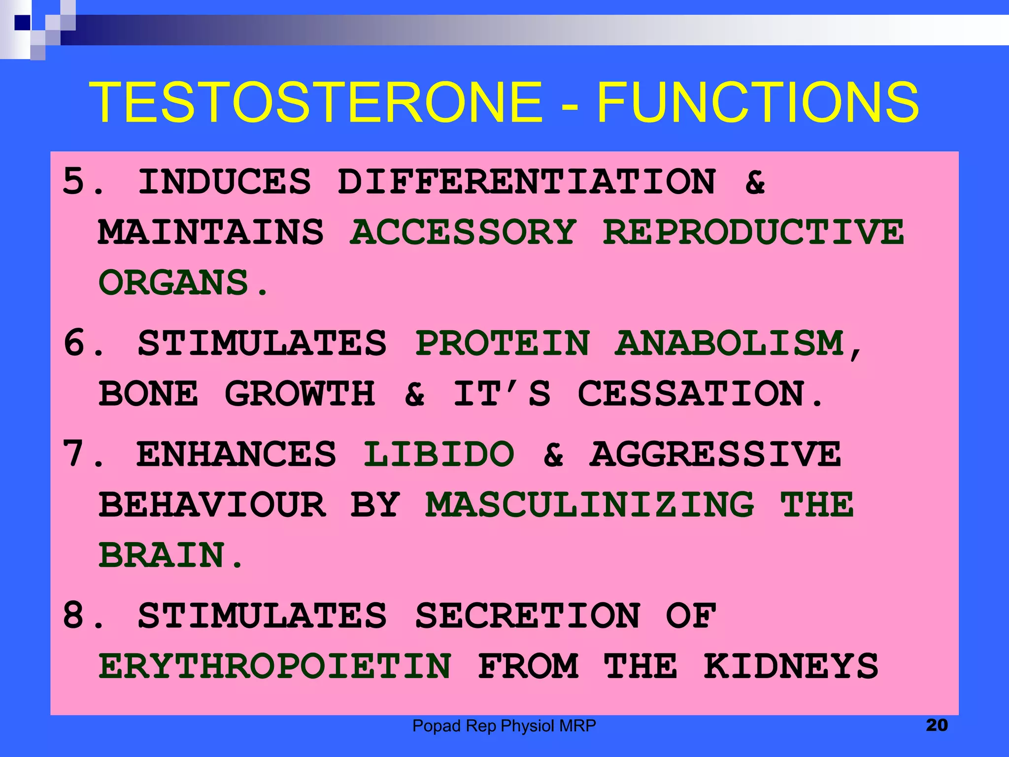 Male reproductive physiology | PPTX
