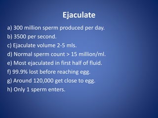 Male reproductive physiology | PPTX