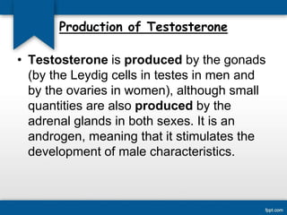 Male reproductive physiology | PPT