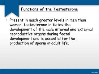 Male reproductive physiology | PPT