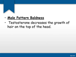 Male reproductive physiology | PPT