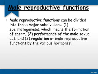 Male reproductive physiology | PPT