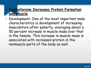 Male reproductive physiology | PPT