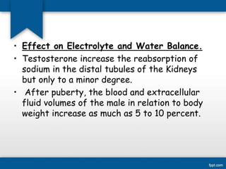 Male reproductive physiology | PPT