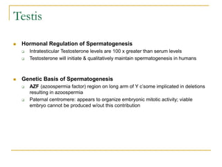 Male Reproductive Physiology system .ppt