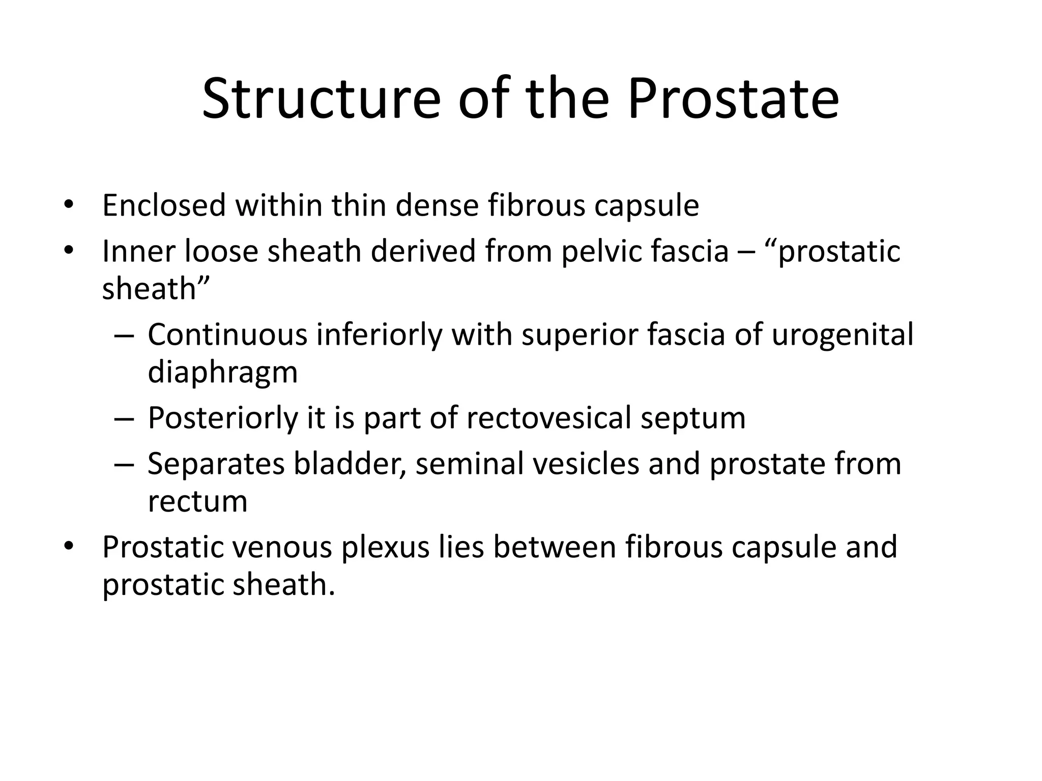Male reproductive system | PPTX