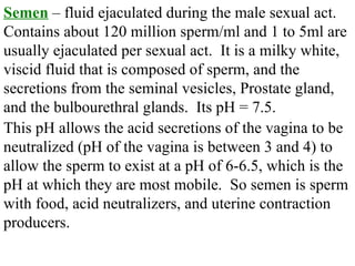 Male reproductive system | PPT
