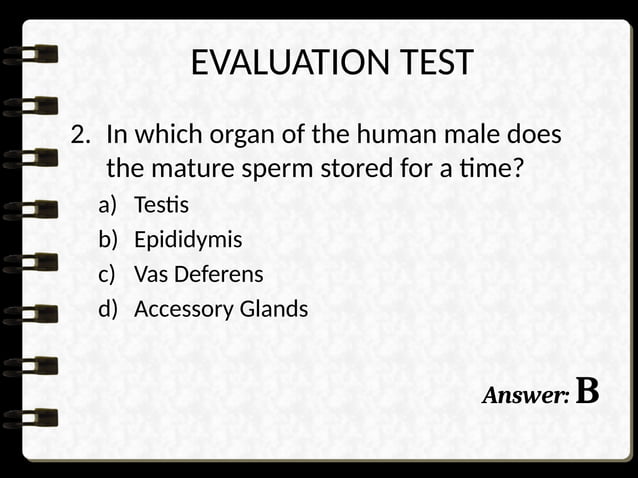 malereproductivesystem-121116191244-phpapp01.pptx