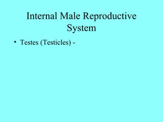 Male reproductive system - MS | PPT