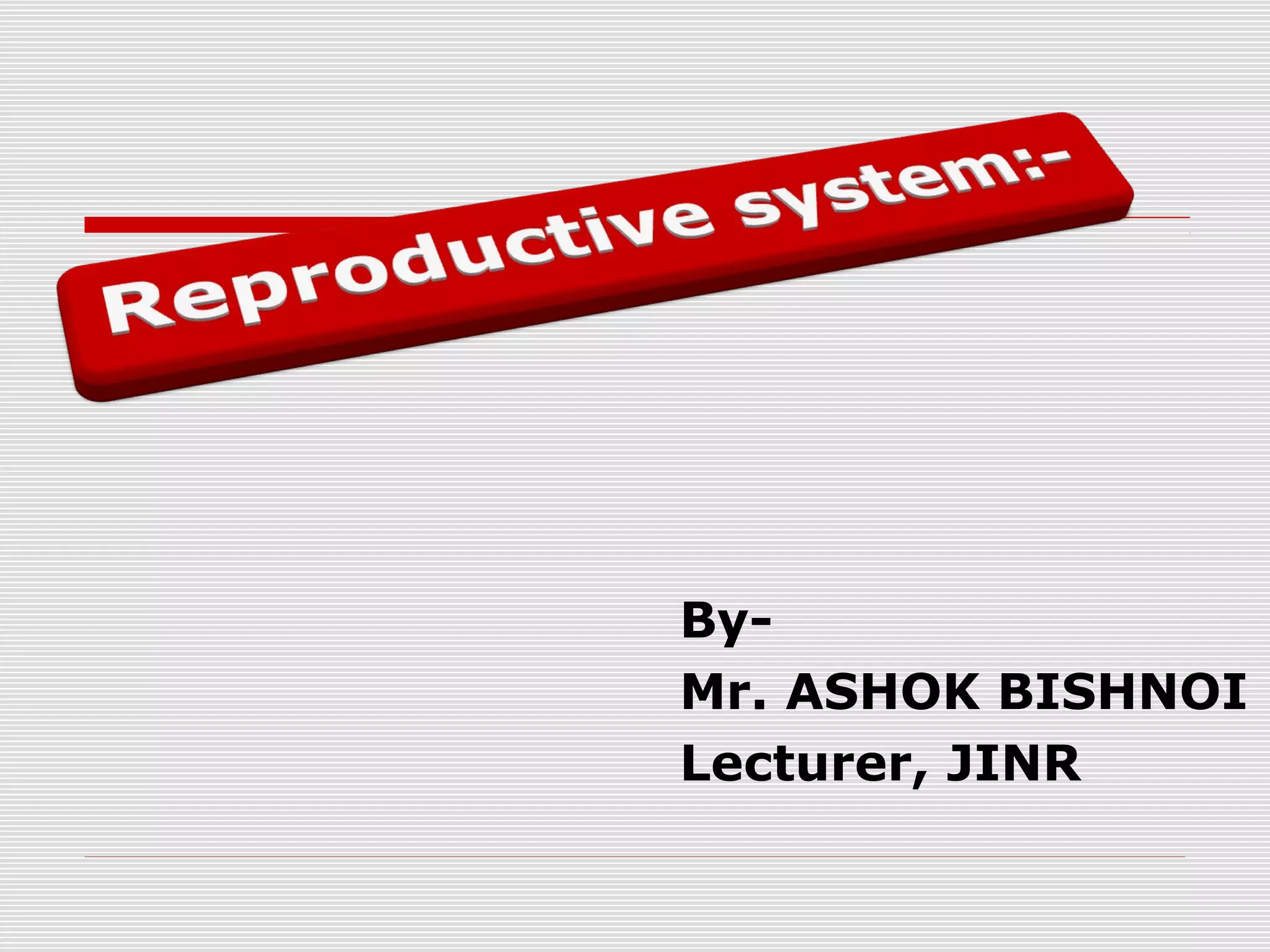 Male reproductive system | PPT
