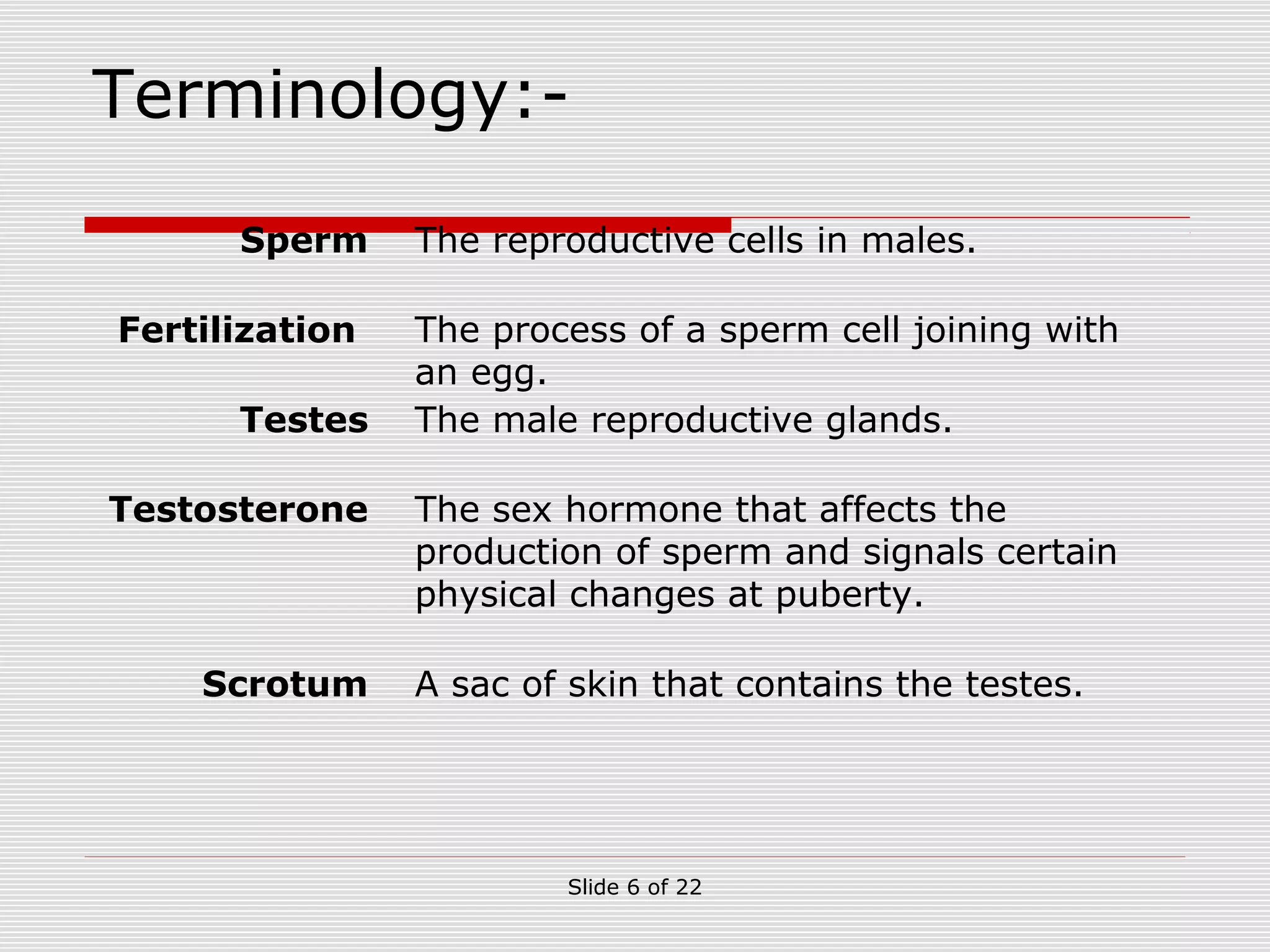 Male reproductive system | PPT