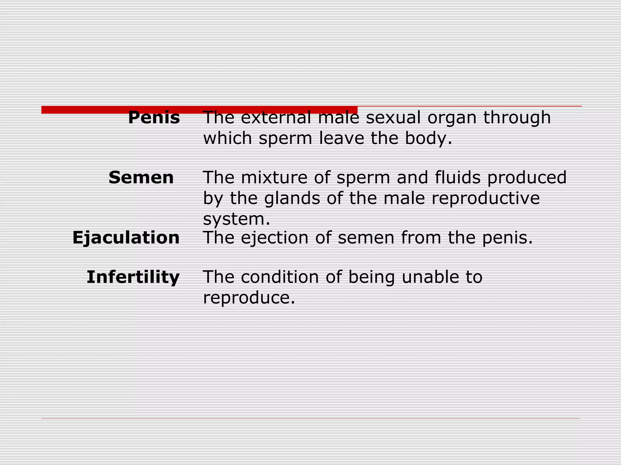 Male reproductive system | PPT