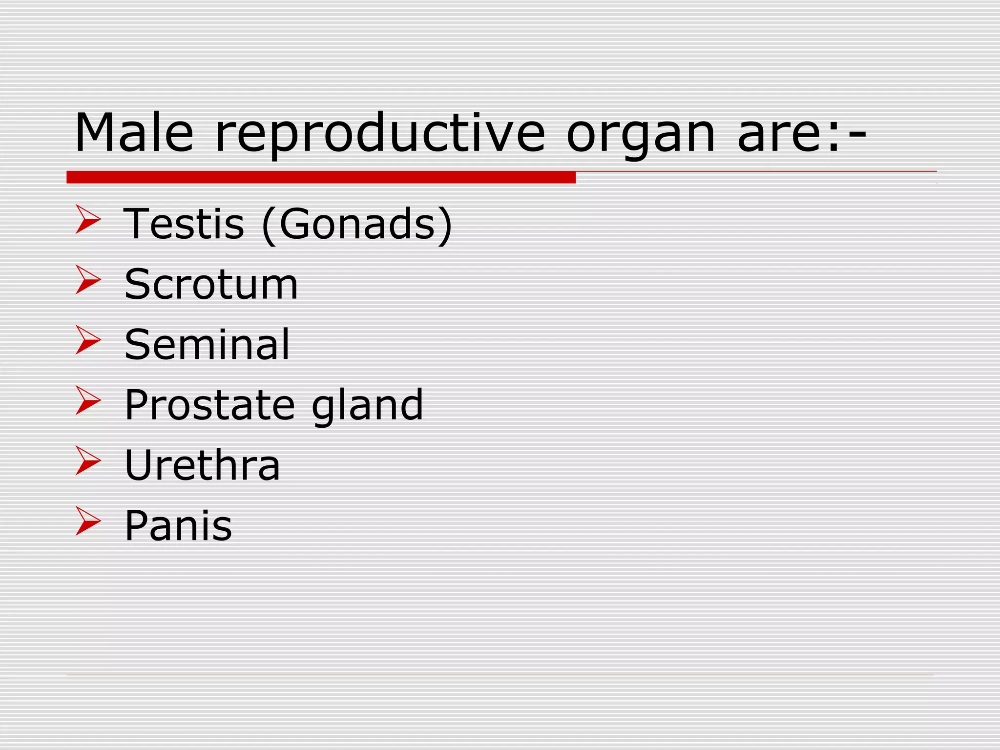 Male reproductive system | PPT