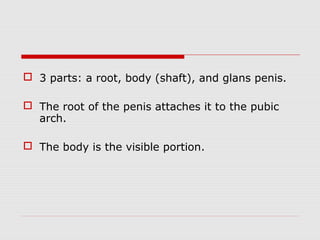 Male reproductive system | PPT