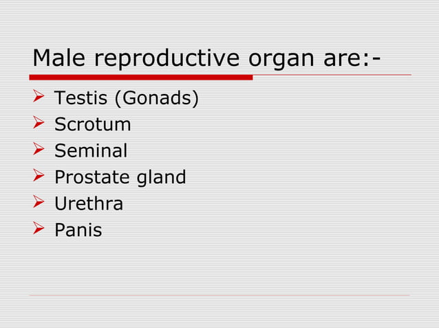 Male reproductive system | PPT | Infertility | Reproductive Health