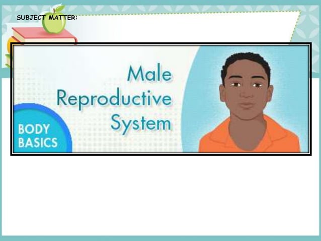 Male Reproductive System | PPT
