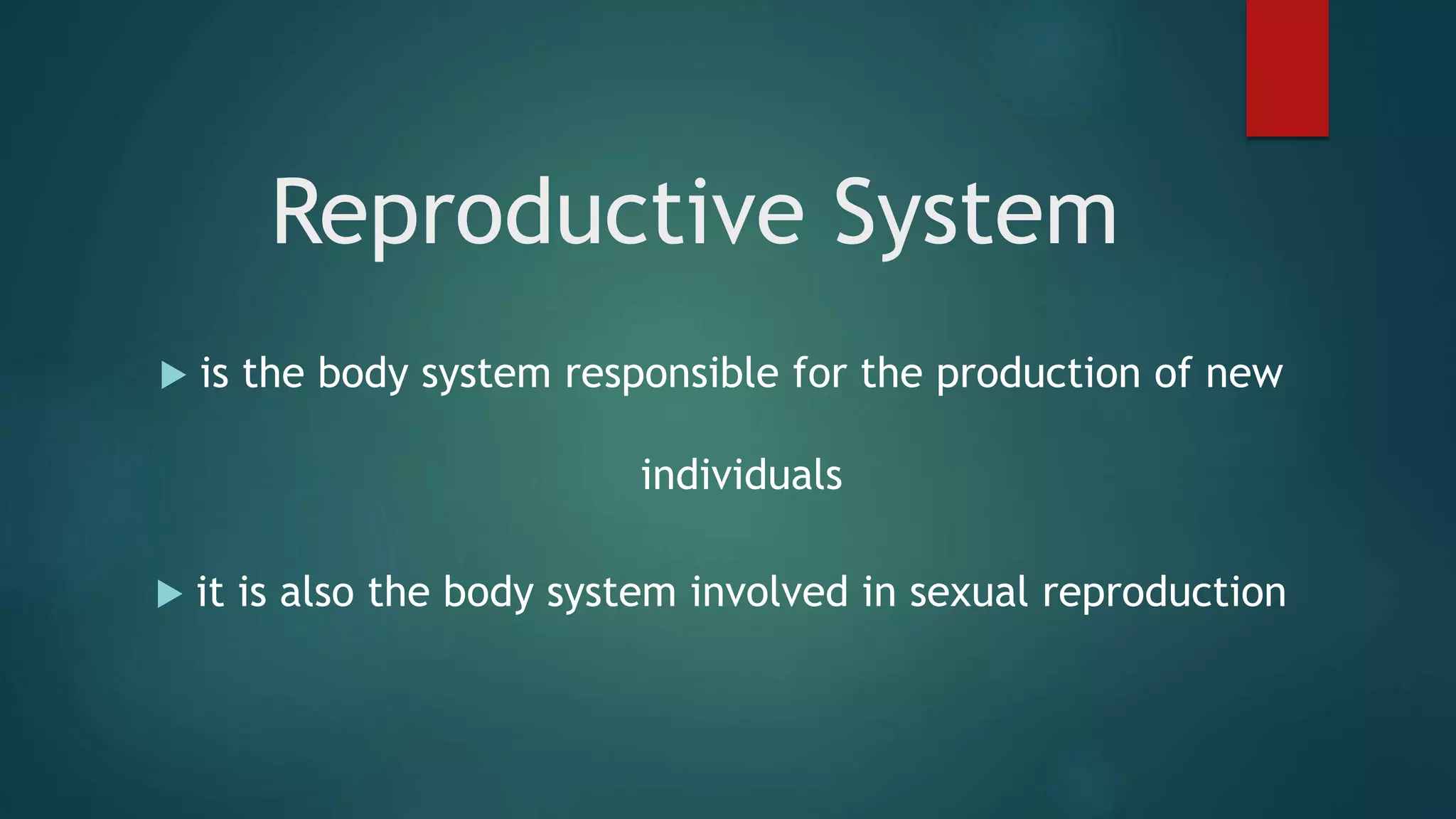 Male reproductive system | PPTX
