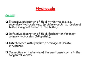 Hydrocele and testicular tumor | PPTX