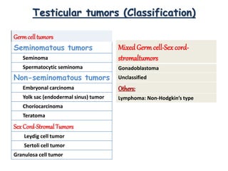 Hydrocele and testicular tumor | PPTX