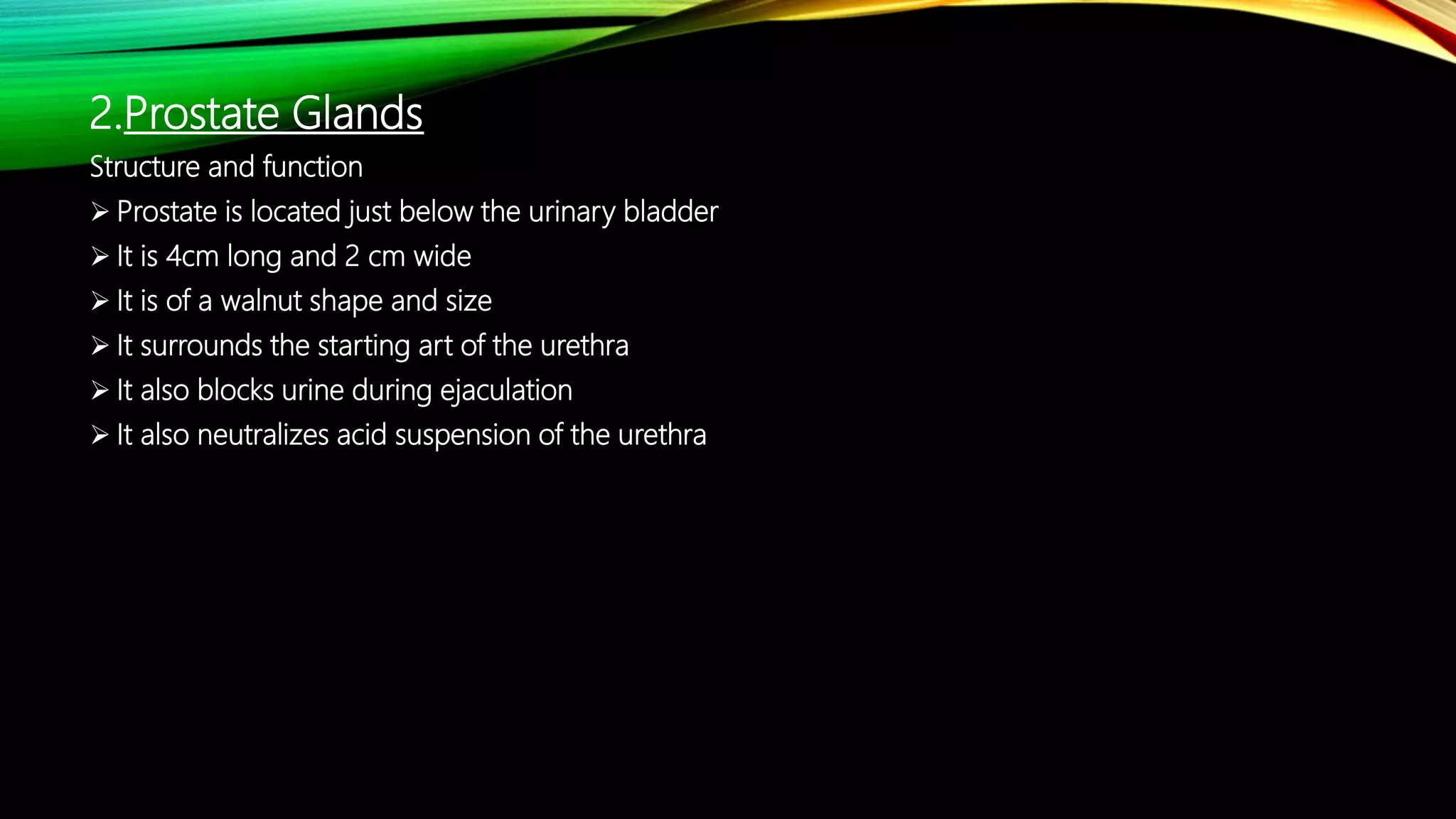 Male reproductive system | PPT