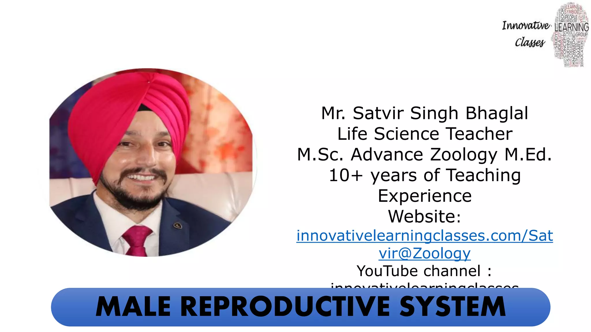 Male Reproductive System | PPTX | Infertility | Reproductive Health