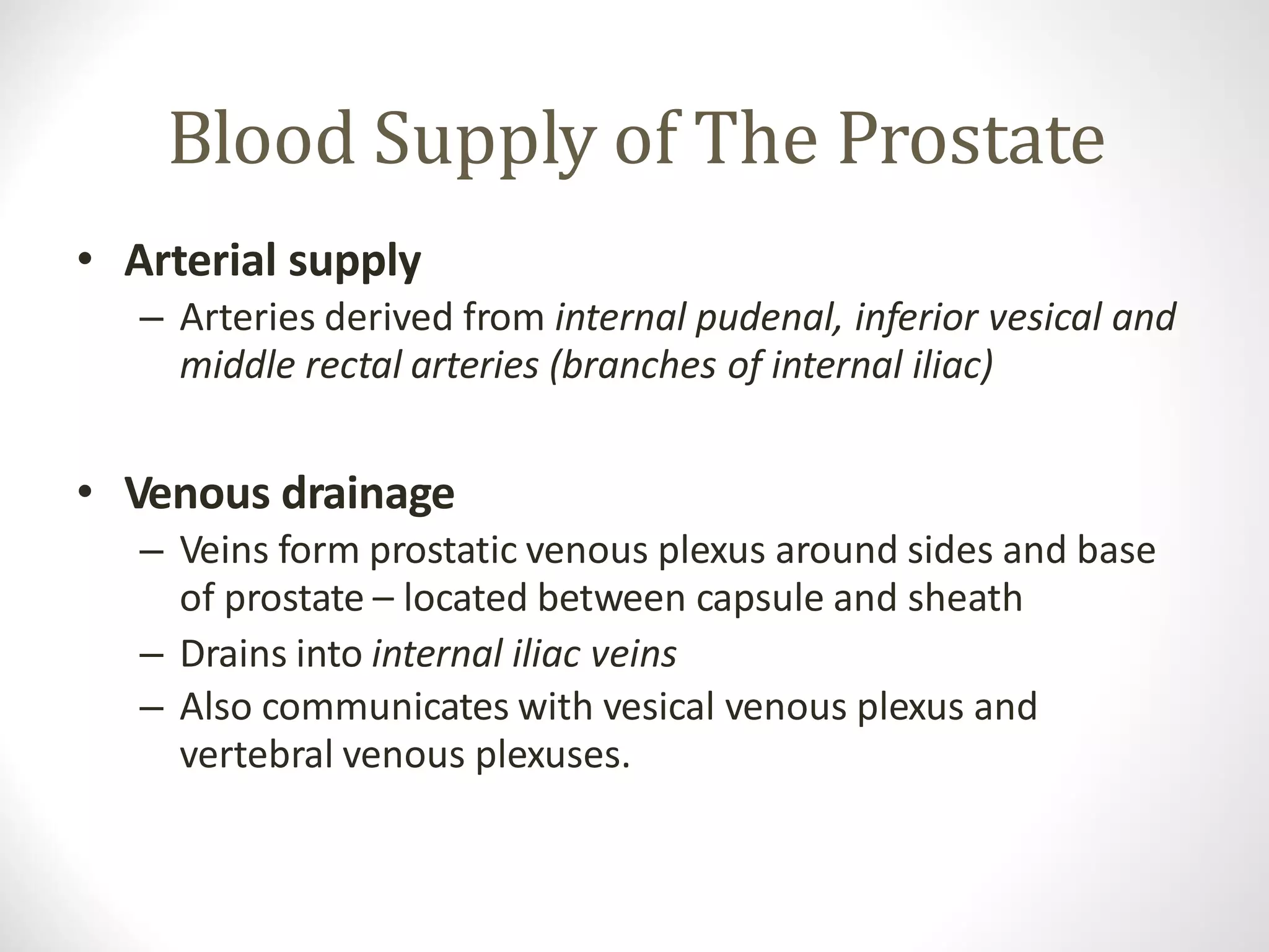 Male reproductive system | PDF