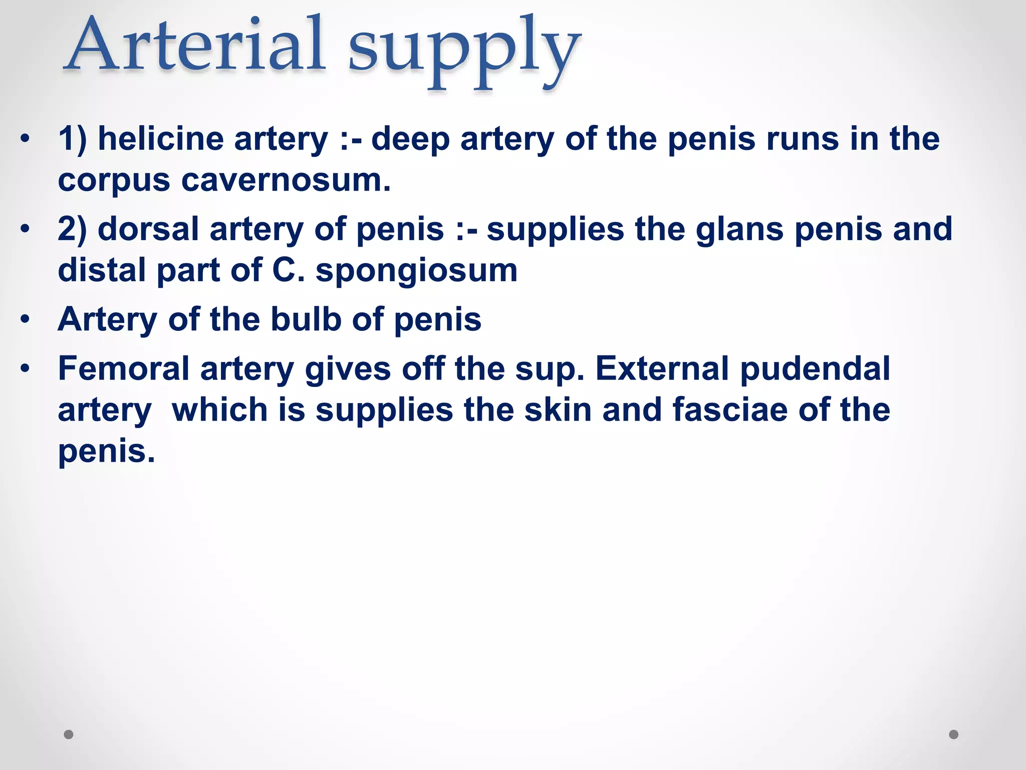 Male reproductive system | PPTX