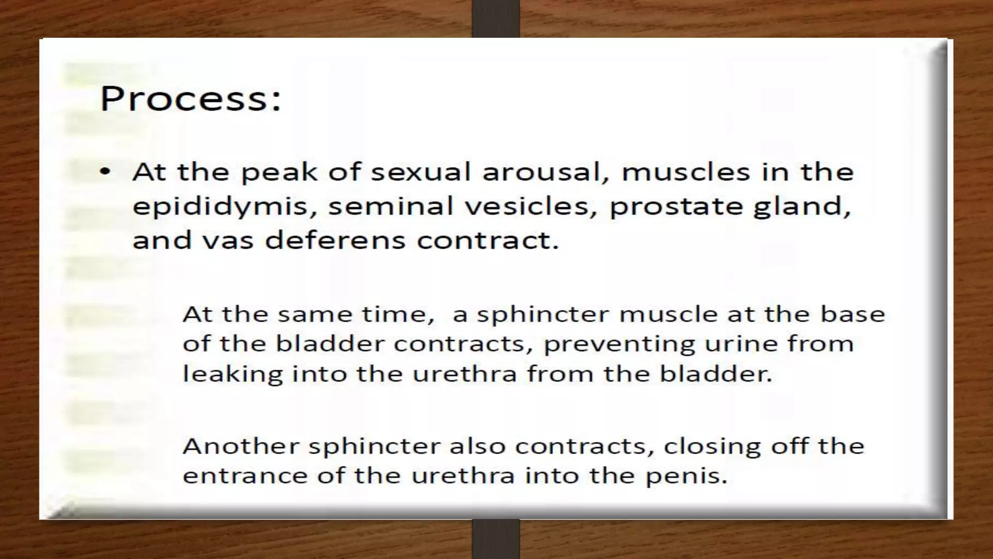Male reproductive system | PPT
