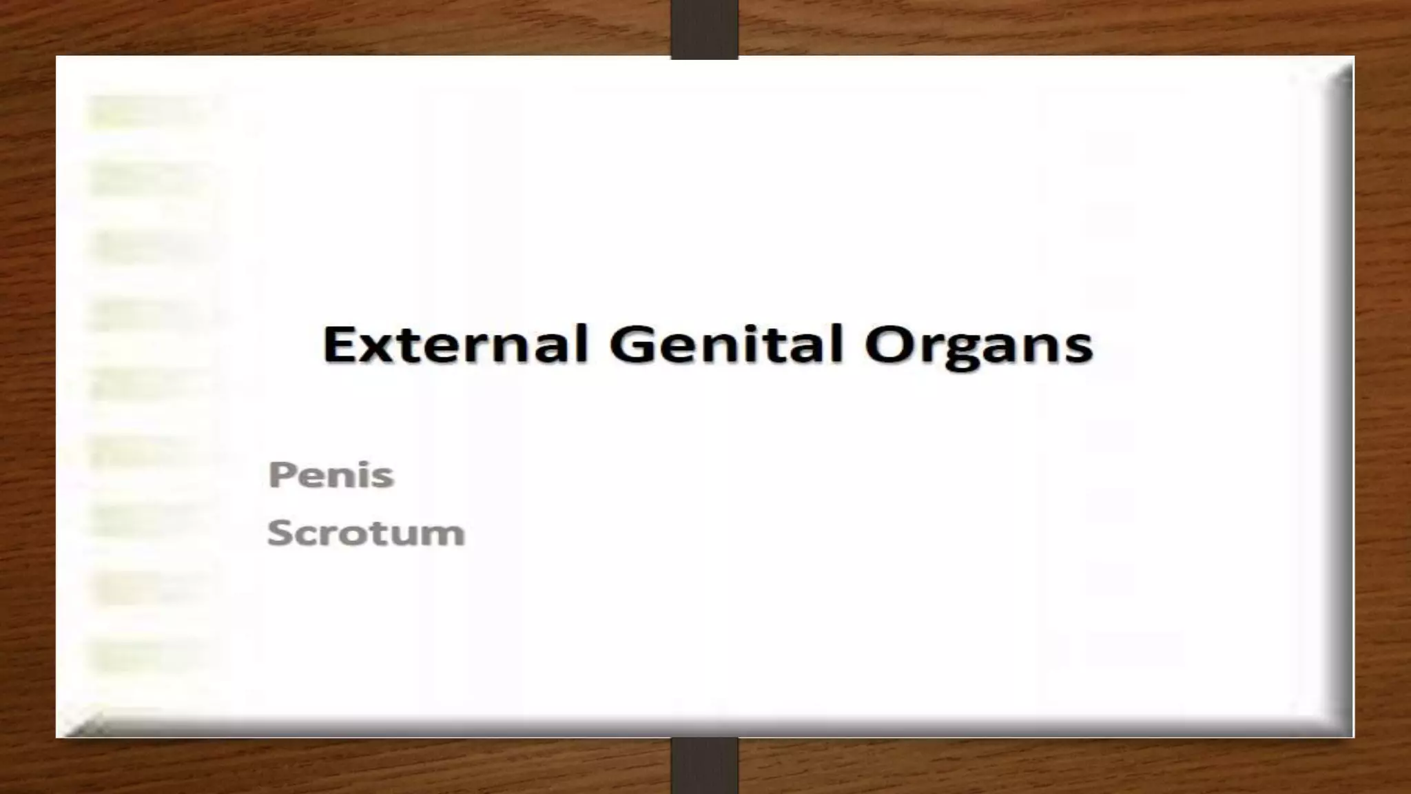 Male reproductive system | PPT