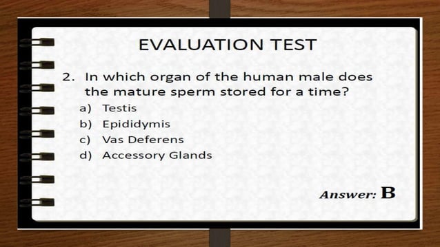 Male reproductive system | PPT