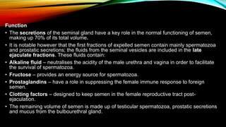 Male reproductive system | PPTX