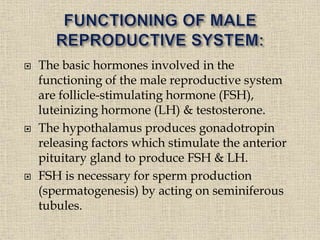 MALE REPRODUCTIVE SYSTEM.pptx | Infertility | Reproductive Health
