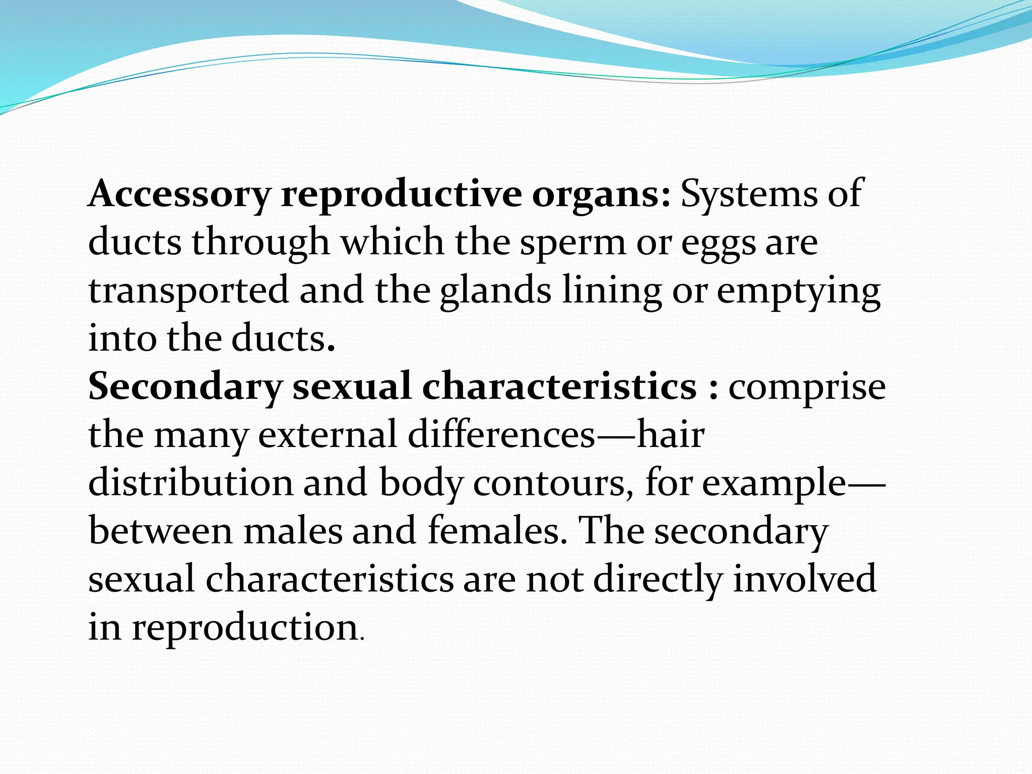Anatomy of Male Reproductive System.pptx