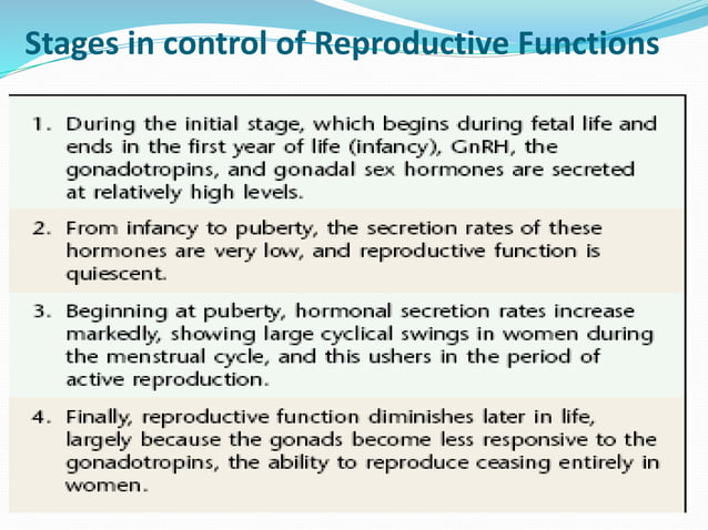 Anatomy of Male Reproductive System.pptx