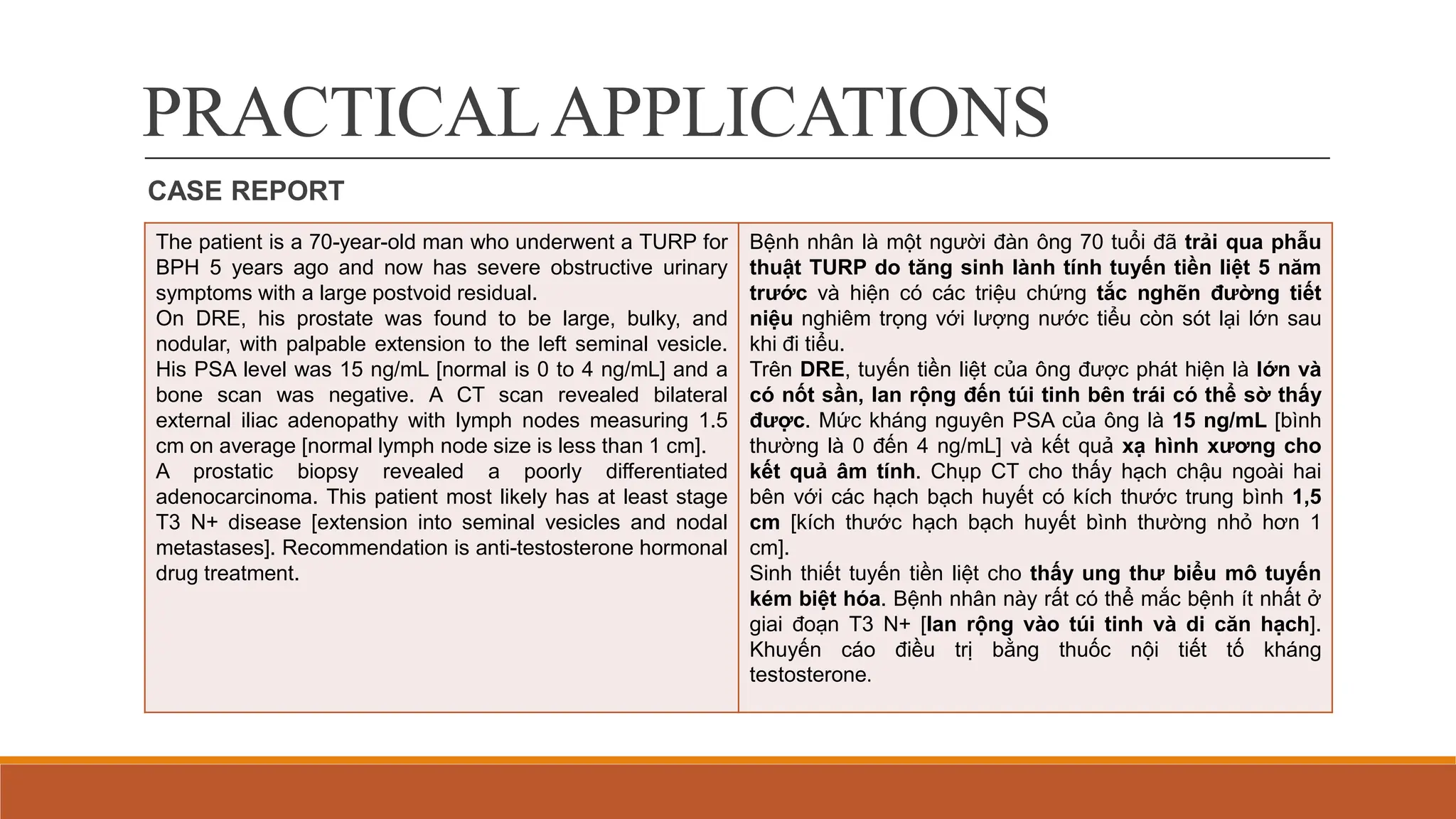 Male Reproductive System English Terminology | PPTX