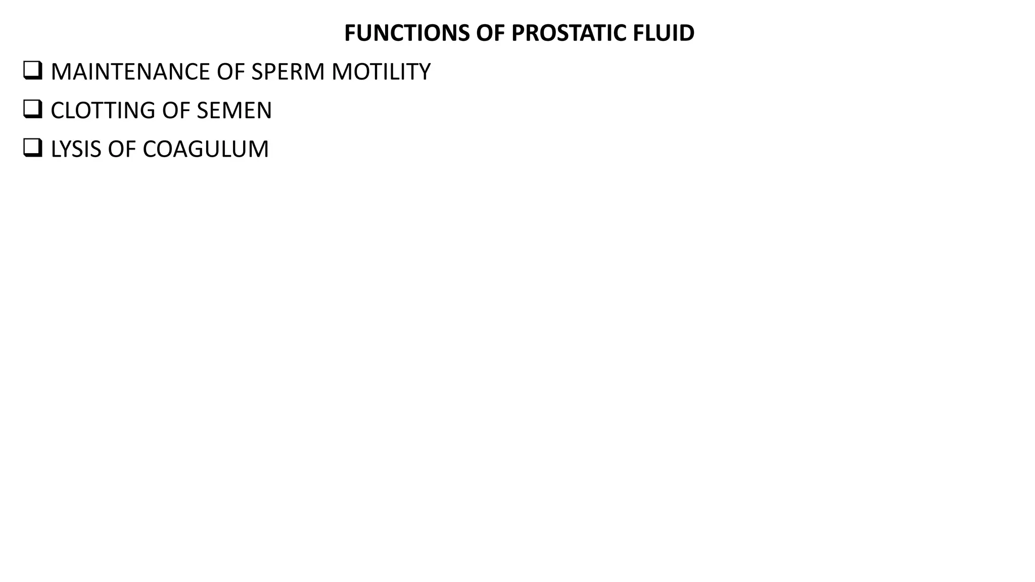 Physiology Of The Male Reproductive System Pptx