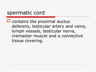 Physiology of Male Reproductive System.ppt