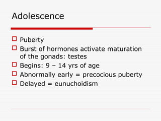 Physiology of Male Reproductive System.ppt