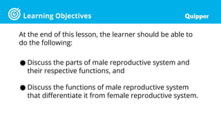 male reproductive system discussion pptx | PPTX