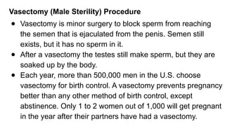 Male Reproductive System of human.What does the male reproductive ...