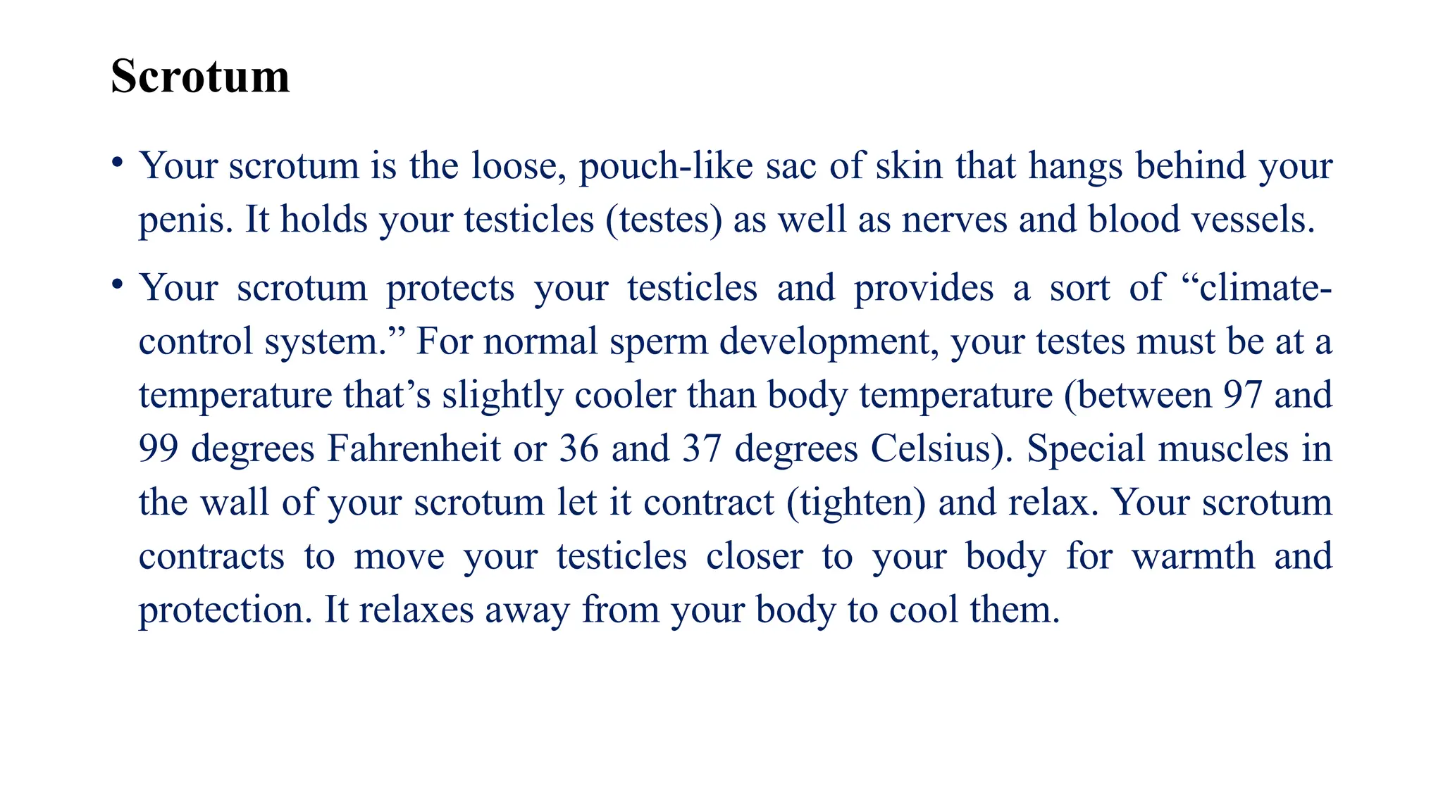 Male Reproductive System.pptx b pharma i sem | PPTX