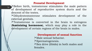 Male Reproductive System.pptx including all points | PPTX