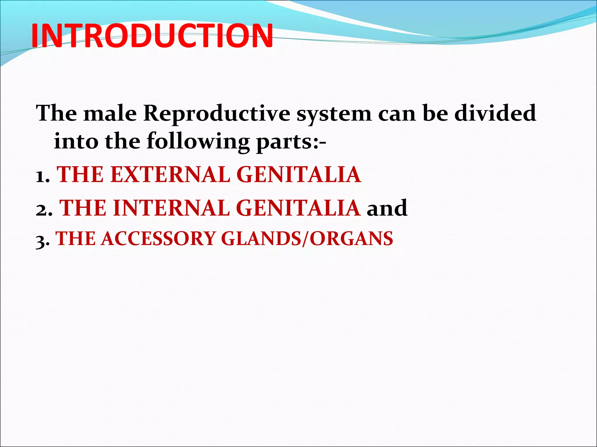 Male reproductive system- mr. panneh | PPT