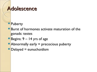Male reproductive system 203 | PPT